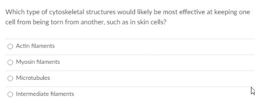 Solved Which type of cytoskeletal structures would likely be | Chegg.com