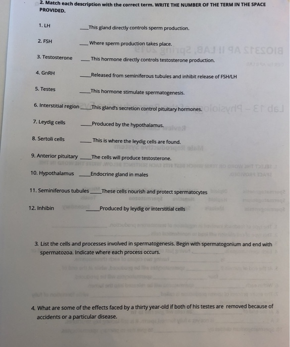 Solved 2. Match each description with the correct term. | Chegg.com