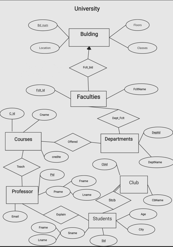 Can you draw a database schema( with all details like | Chegg.com