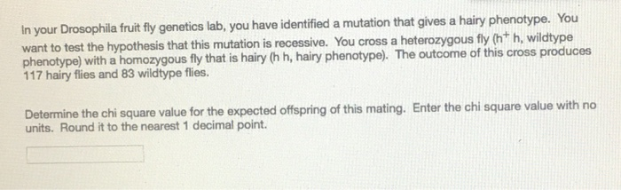 Solved In your Drosophila fruit fly genetics lab, you have | Chegg.com