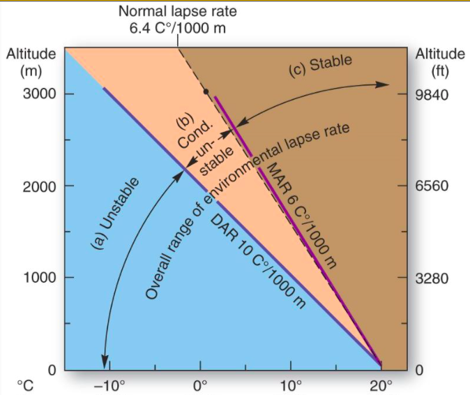 After watching the animation, you should recognize | Chegg.com
