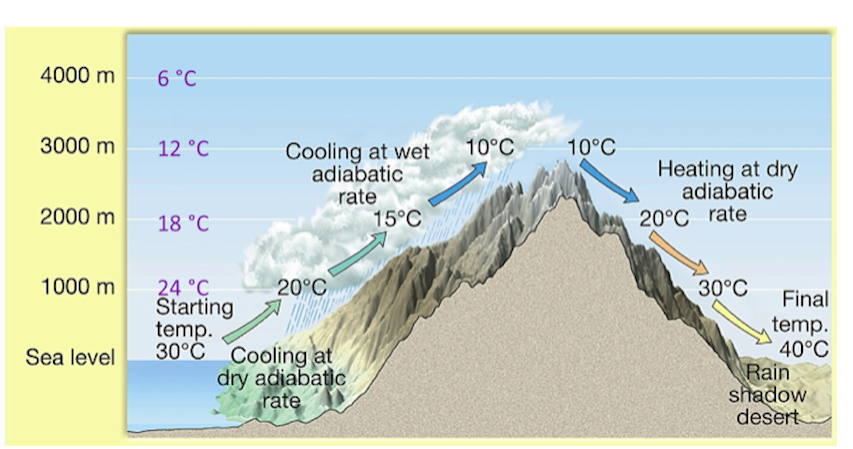 Solved Question | Chegg.com