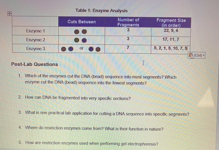 Solved Table 1: Enzyme Analysis Number of Fragments 3 | Chegg.com