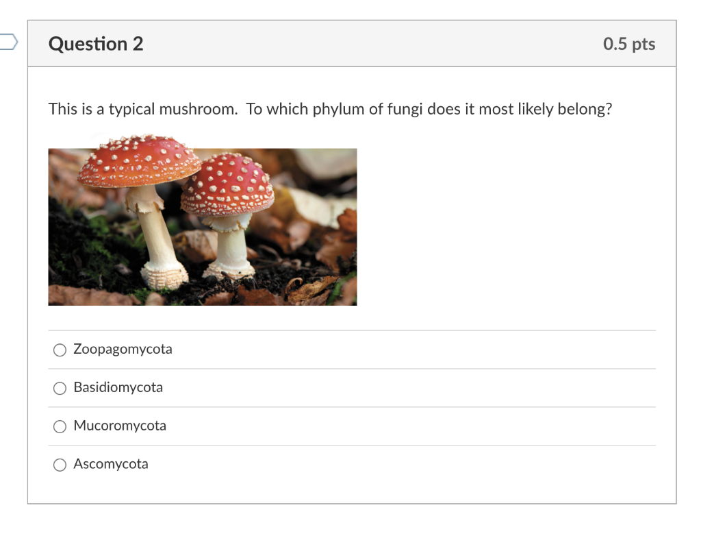 Solved Question 2 0.5 pts This is a typical mushroom. To | Chegg.com