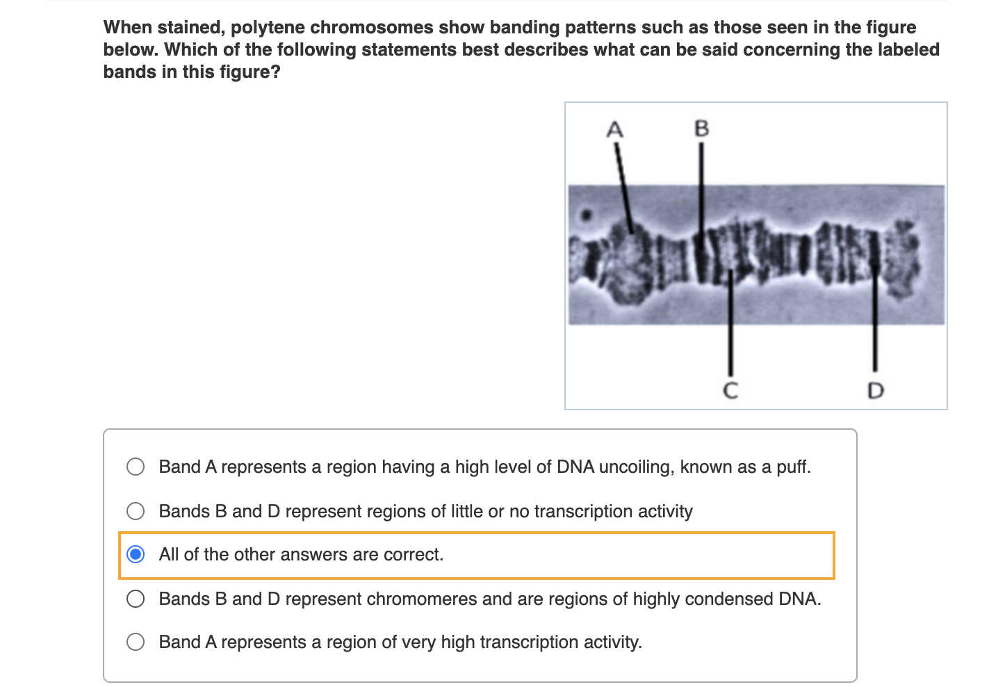 Solved When stained, polytene chromosomes show banding | Chegg.com