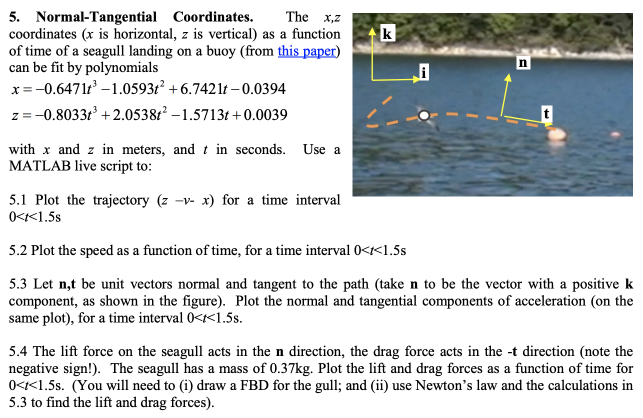 Could answer be typed in matlab form if no access to | Chegg.com