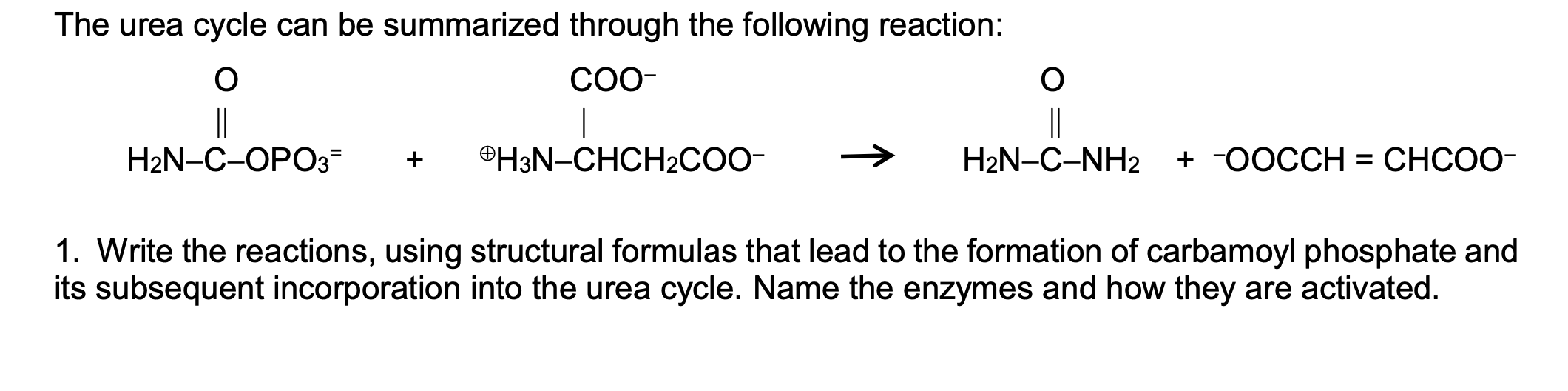 Solved The urea cycle can be summarized through the | Chegg.com