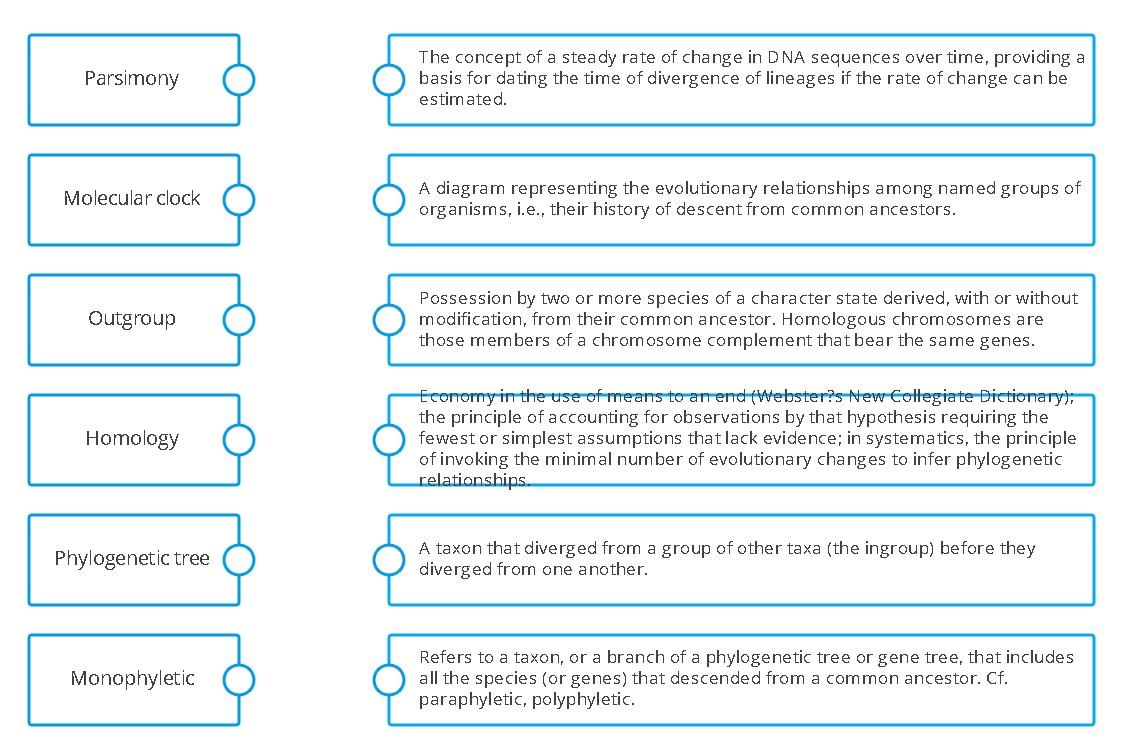Solved Match the terms to their descriptions. Connect each | Chegg.com