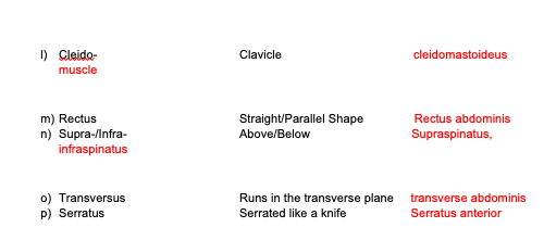 Solved 1. Understanding the following prefixes and terms are | Chegg.com