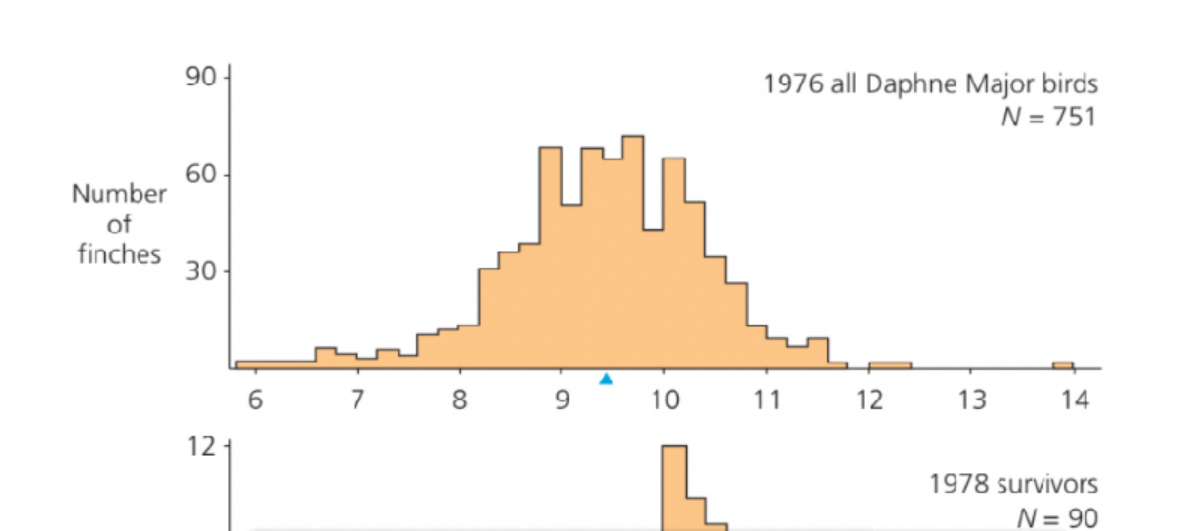 Below are histograms of the same generation of | Chegg.com