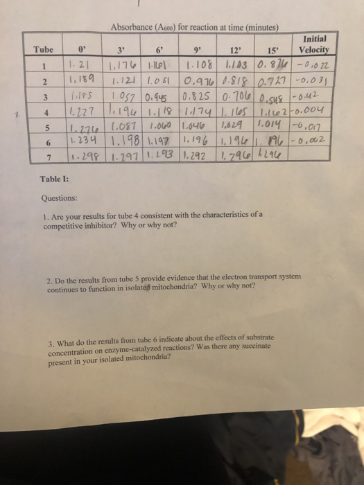 Absorbance (A60o) for reaction at time (minutes | Chegg.com