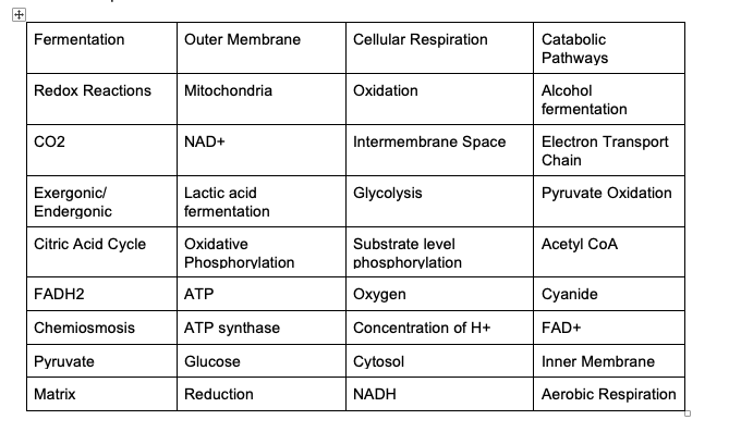Solved Biology Help ASAP!! Create a concept map | Chegg.com