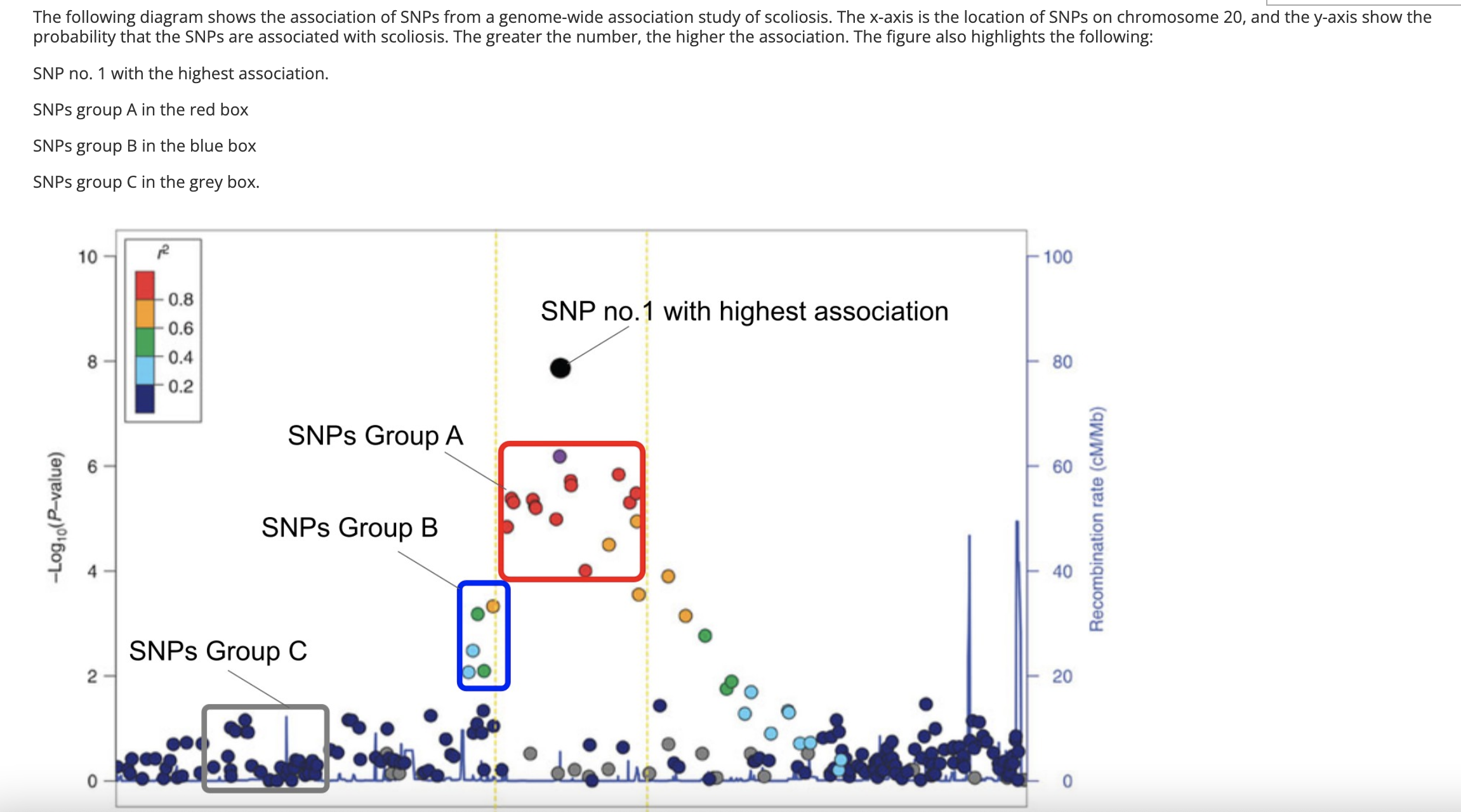 Solved The following diagram shows the association of SNPs | Chegg.com