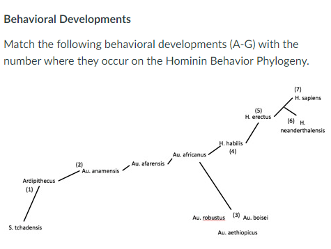 Solved Match the following behavioral developments (A-G) | Chegg.com