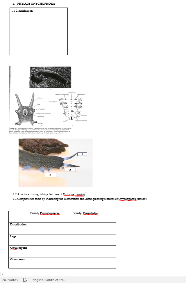Solved 1.2 Annotate distinguishing features of Peringtys | Chegg.com