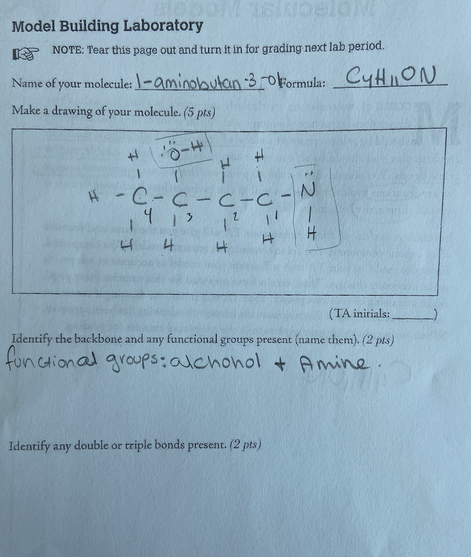 Solved Model Building Laboratory NOTE: Tear this page out | Chegg.com