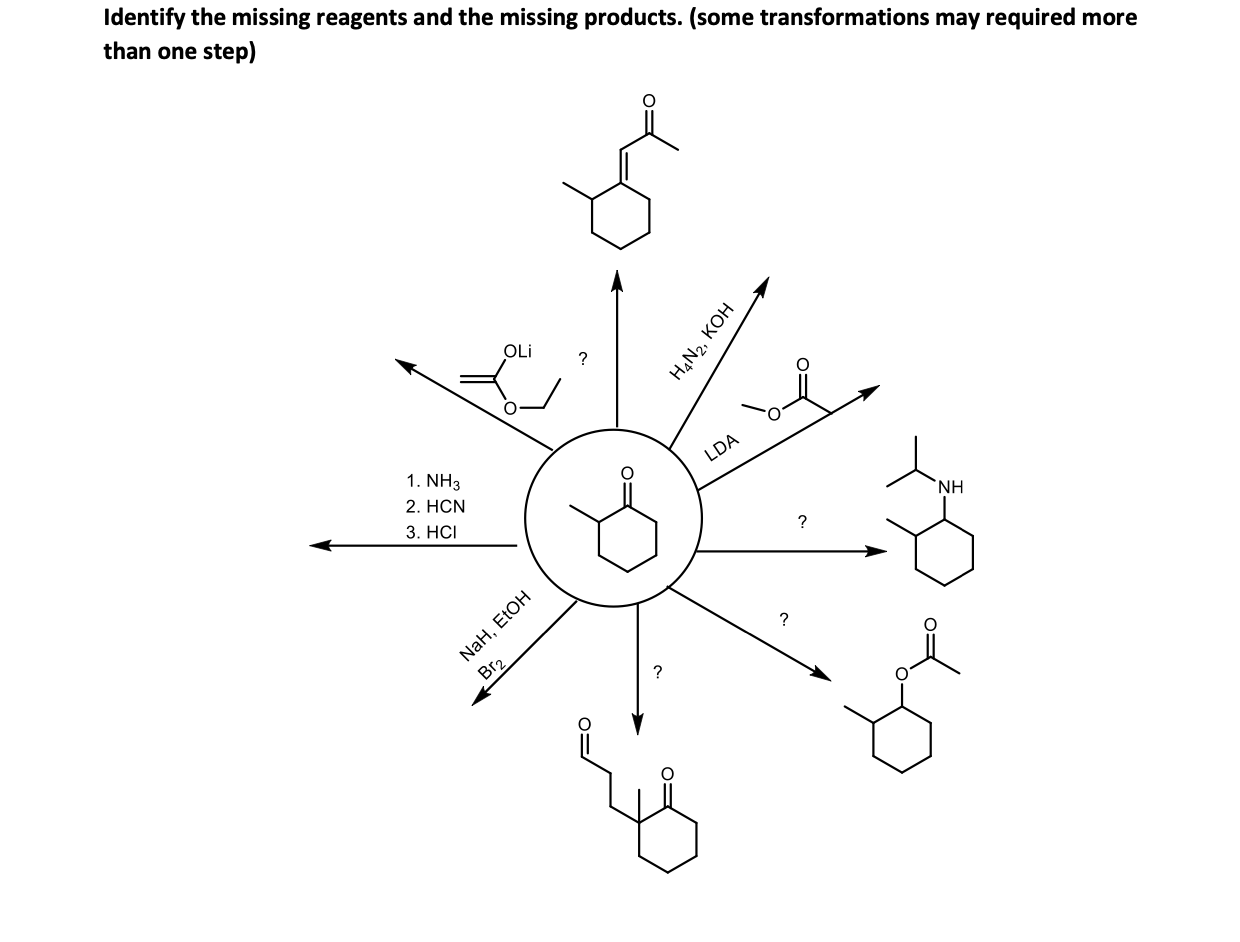 Solved Identify the missing reagents and the missing | Chegg.com