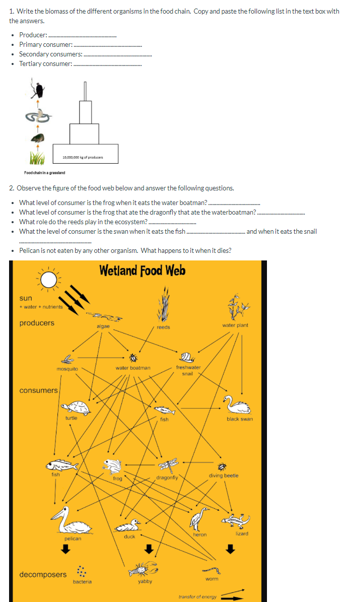 Solved 1. Write the biomass of the different organisms in | Chegg.com