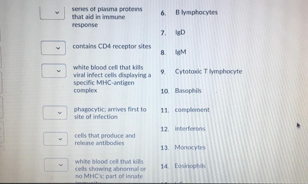 For each of the following match immune system | Chegg.com