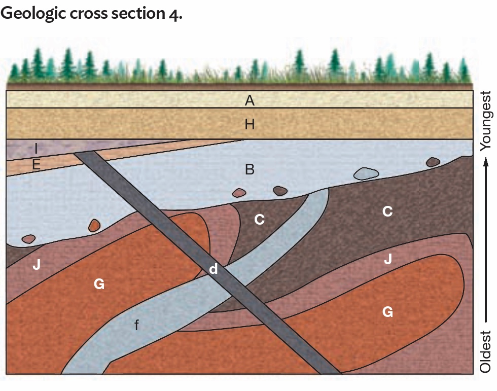 Solved (e) In the fourth cross section of Exercise 17.5, | Chegg.com