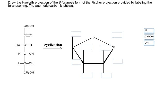 Solved Draw the Haworth projection of the B-furanose form of | Chegg.com