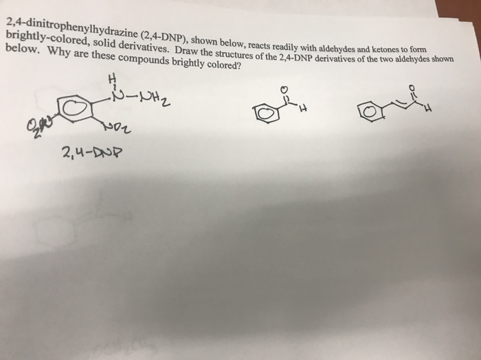 Solved 2,4-dinitrophenylhydrazine (2,4-DNP), shown below, | Chegg.com