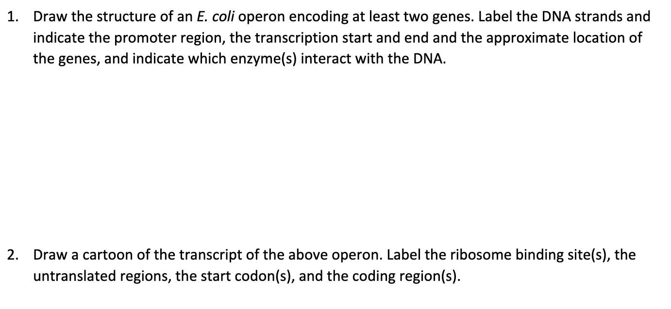 Solved Draw the structure of an E. coli operon encoding at | Chegg.com