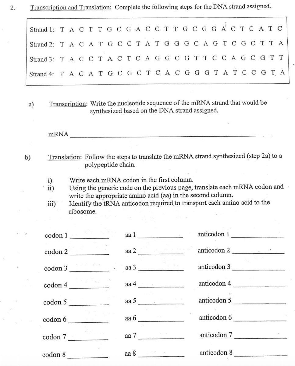 Solved 2. Transcription and Translation: Complete the | Chegg.com