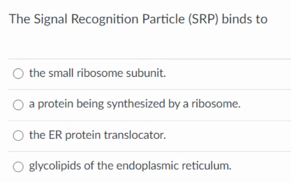 Solved The Signal Recognition Particle (SRP) binds to the | Chegg.com