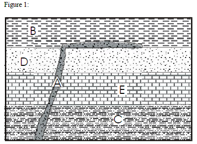 Solved ased on Figure 1 provided, what is the correct order | Chegg.com