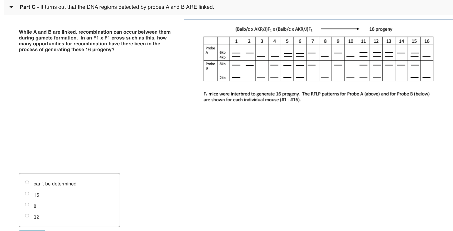 Solved Restriction Fragment Polymorphisms (RFLP) are a class | Chegg.com