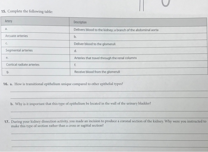 Solved QUESTIONS 1-6: Match the term in column A with the | Chegg.com