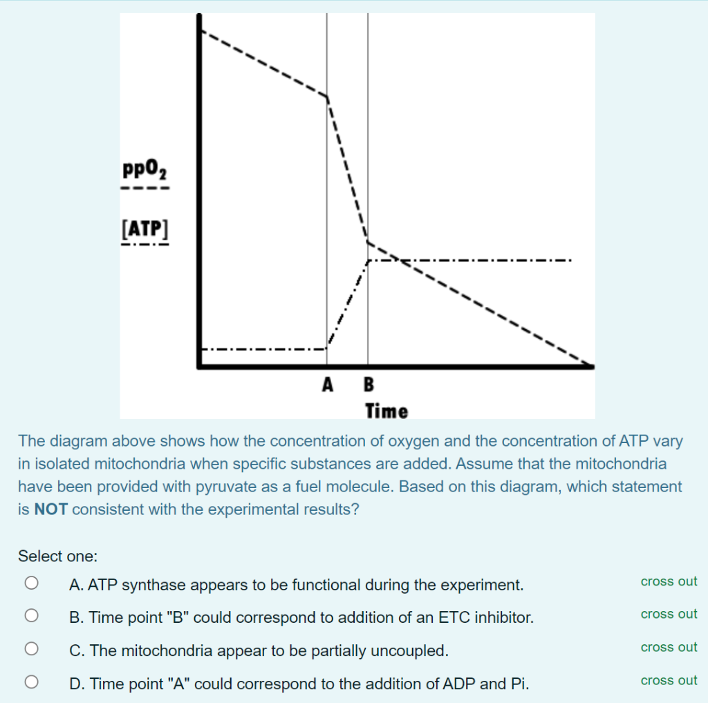 Solved pp02 [ATP] А В Time The diagram above shows how the | Chegg.com