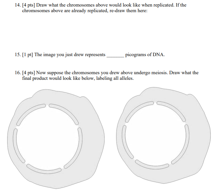 Solved Consider the image on right, representing 12 | Chegg.com