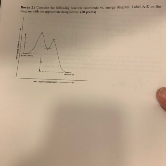 Solved Bonus 2 Consider The Following Reaction Coordinate