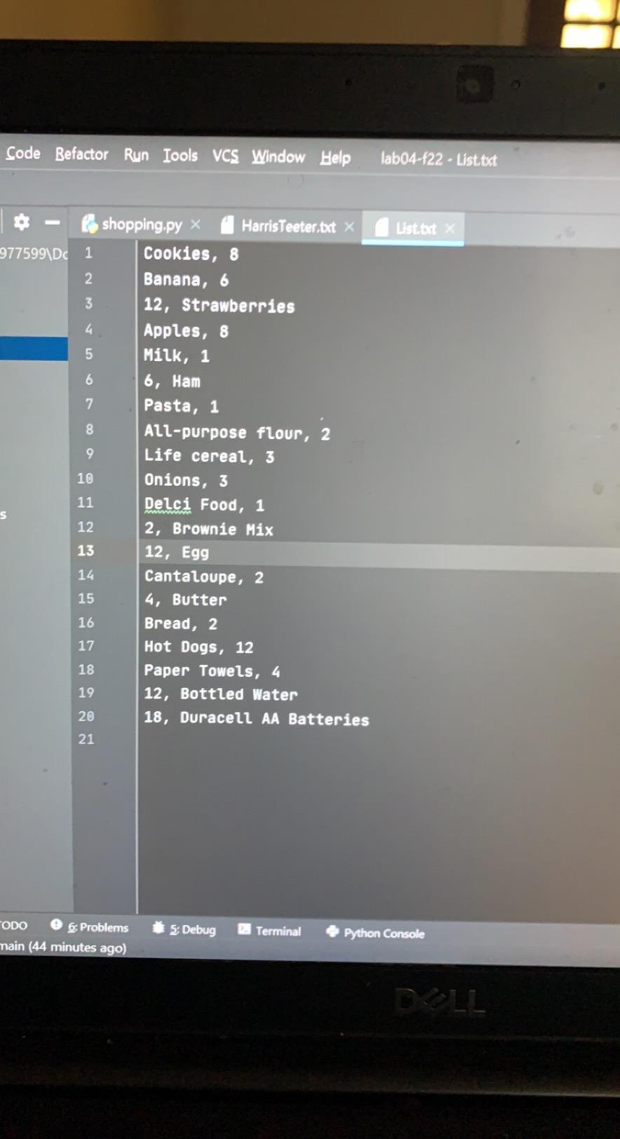 Code Befactor Run Iools VCS Window Help lab04-f22 - | Chegg.com