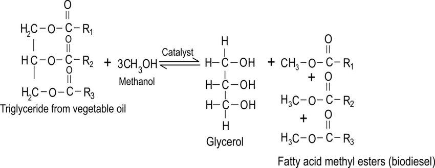 Solved The reaction for biodiesel is known as a | Chegg.com