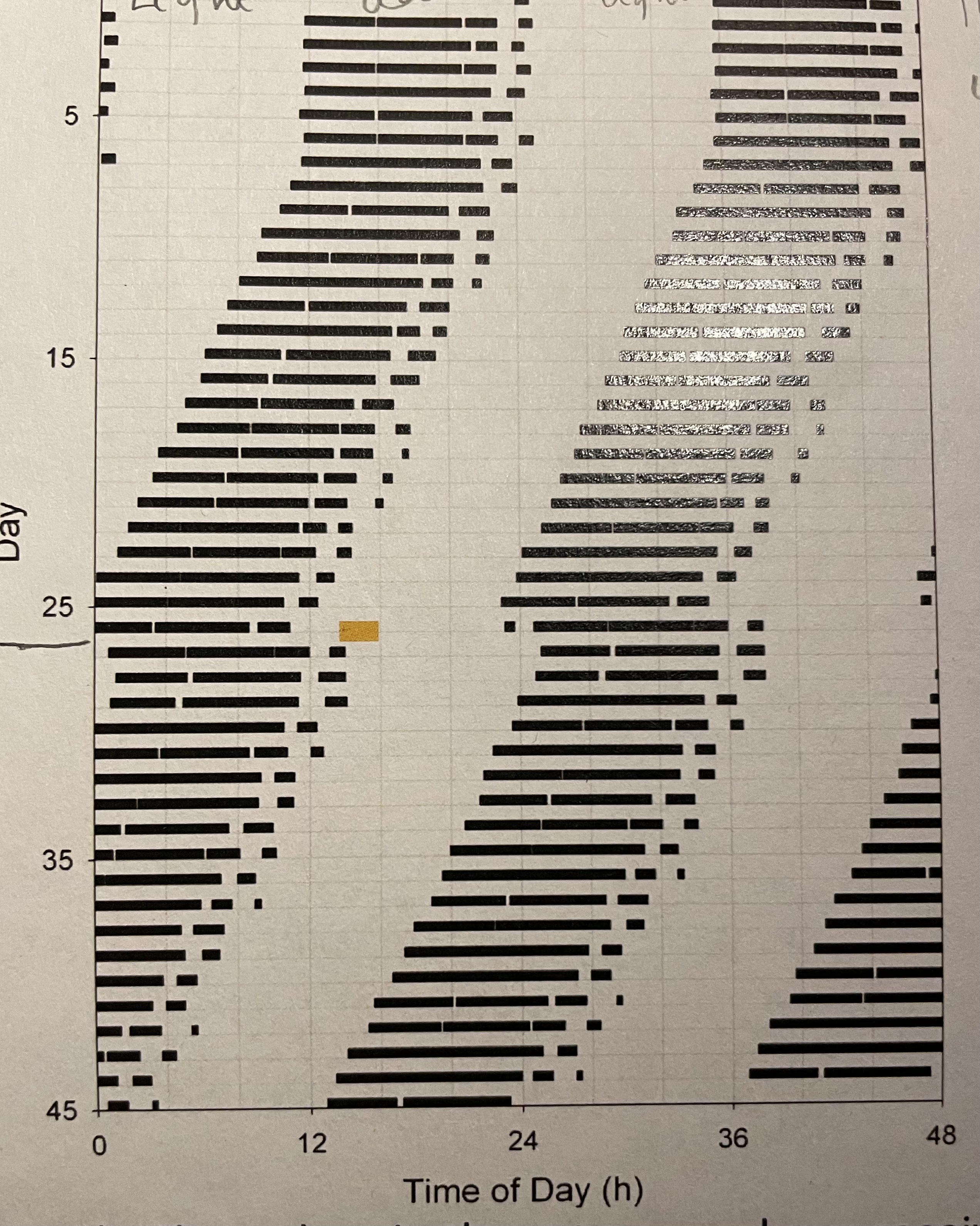 Solved for this actogram, the above rodent in the actogram | Chegg.com