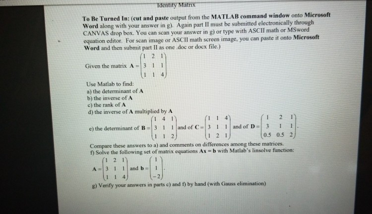 Solved Identity Matrix To Be Turned In: (cut and paste | Chegg.com