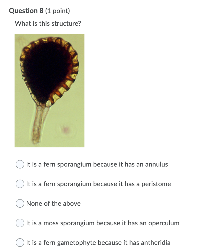 Solved Question 7 (1 point) Which of these statements are | Chegg.com