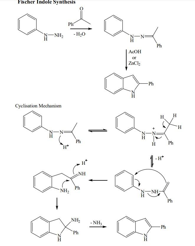 Solved The Fischer indole synthesis is a reaction between | Chegg.com
