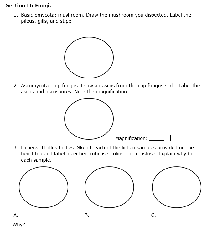 Section II: Fungi. 1. Basidiomycota: mushroom. Draw | Chegg.com