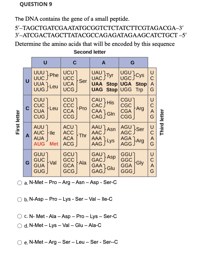 Solved The images shown depict the initiation and elongation | Chegg.com