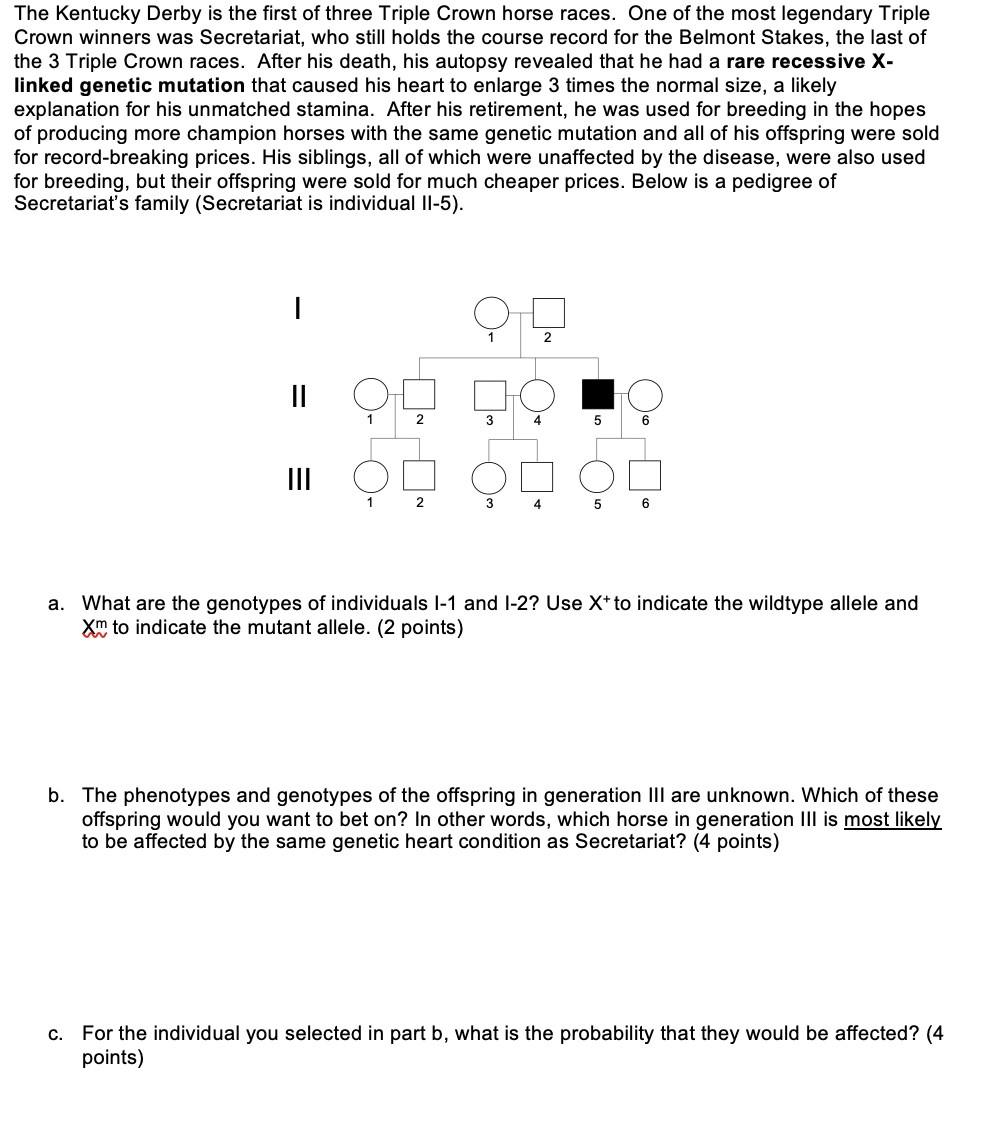 Solved The Kentucky Derby is the first of three Triple Crown | Chegg.com