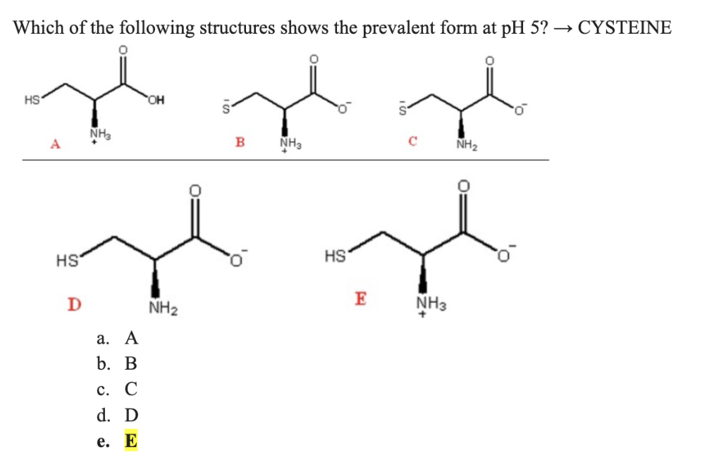 Solved Which of the following structures shows the prevalent | Chegg.com