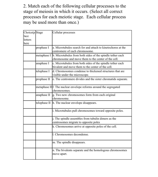 Solved Match each of the following cellular processes to the | Chegg.com