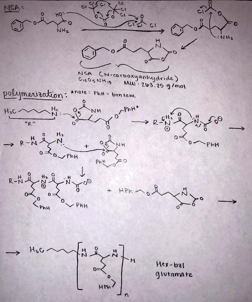 Solved Give a detailed explanation of the mechanisms behind | Chegg.com