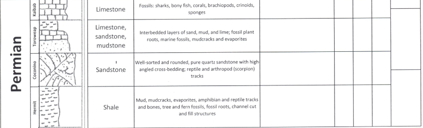 Solved Record of sea-level Rock Type Rock | Chegg.com