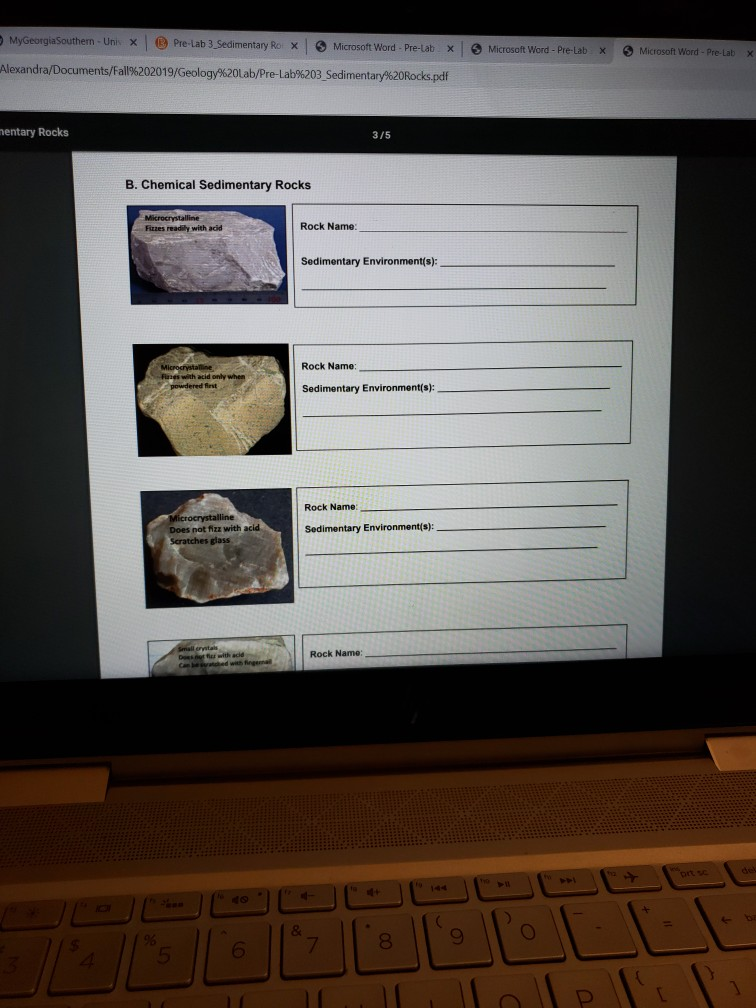 Solved GeorgiaSouthern- Uni x Pre-Lab 3 Sedimentary Ro | Chegg.com