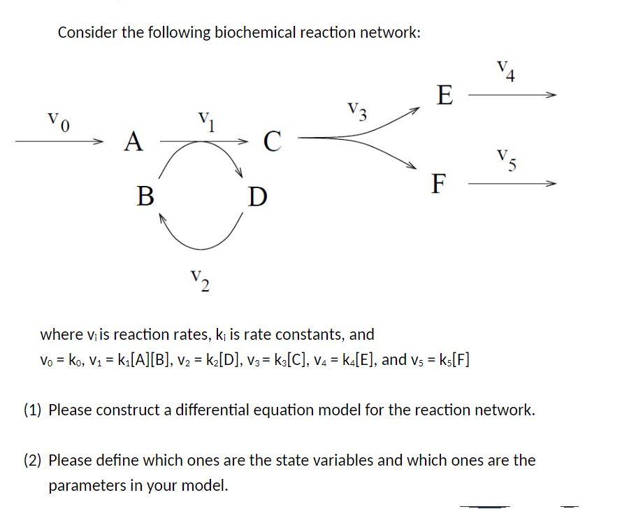 Solved Consider the following biochemical reaction network: | Chegg.com